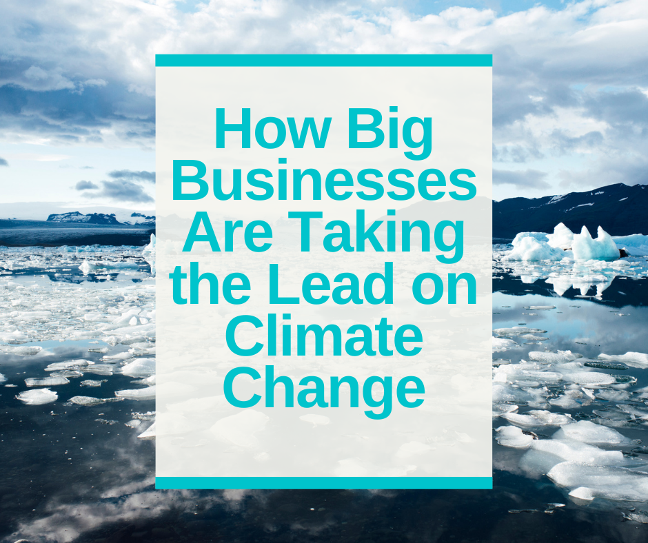 How Big Businesses Are Taking the Lead on Climate Change - SGL Newsroom